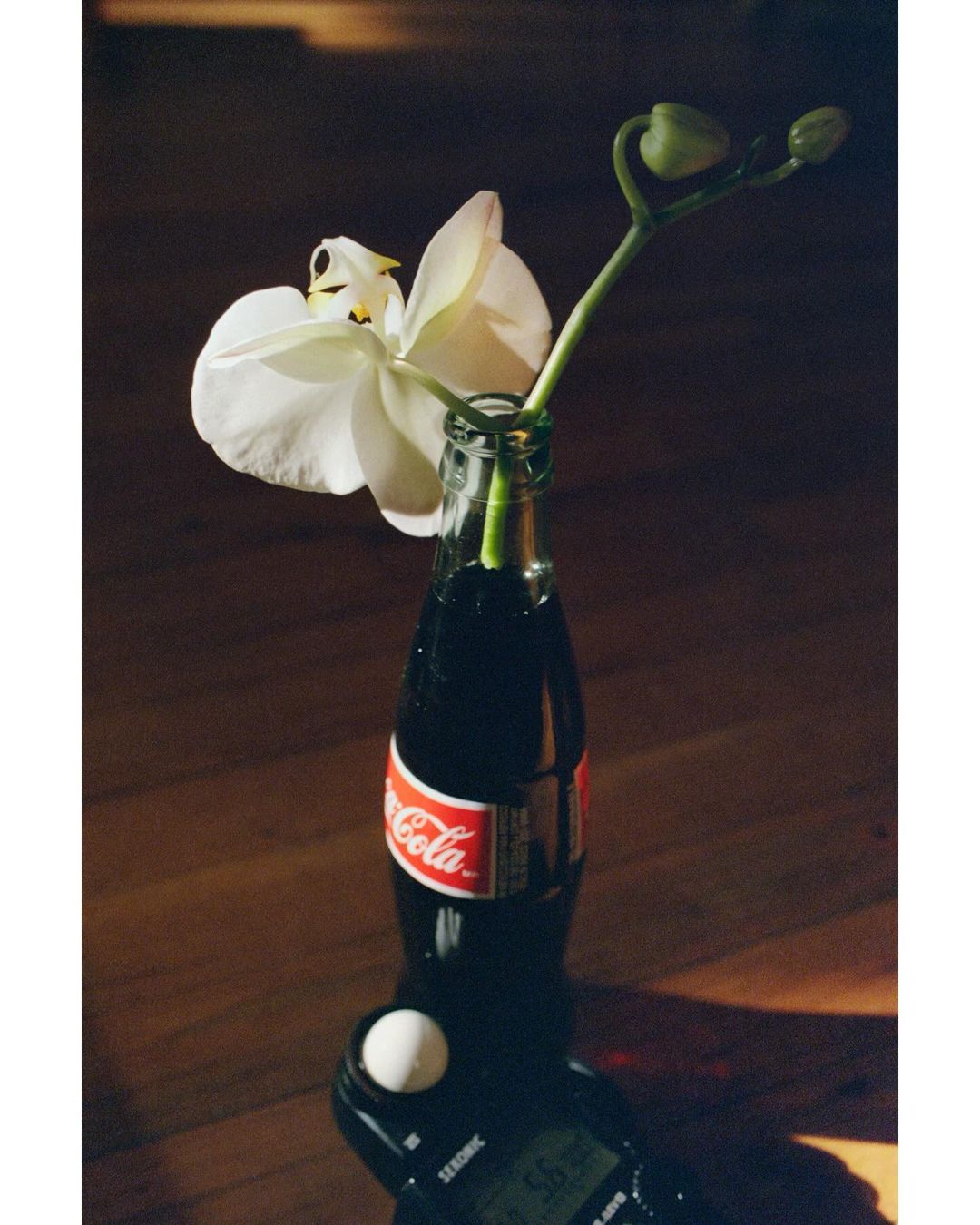 Adam Kremer | The Agents Club