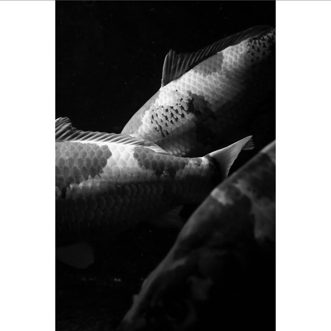 Ben Ingham | The Agents Club