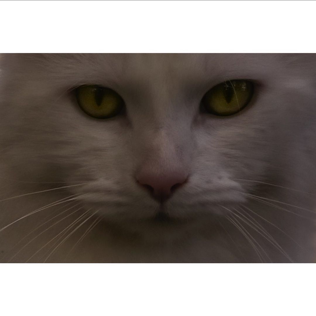 Ben Ingham | The Agents Club