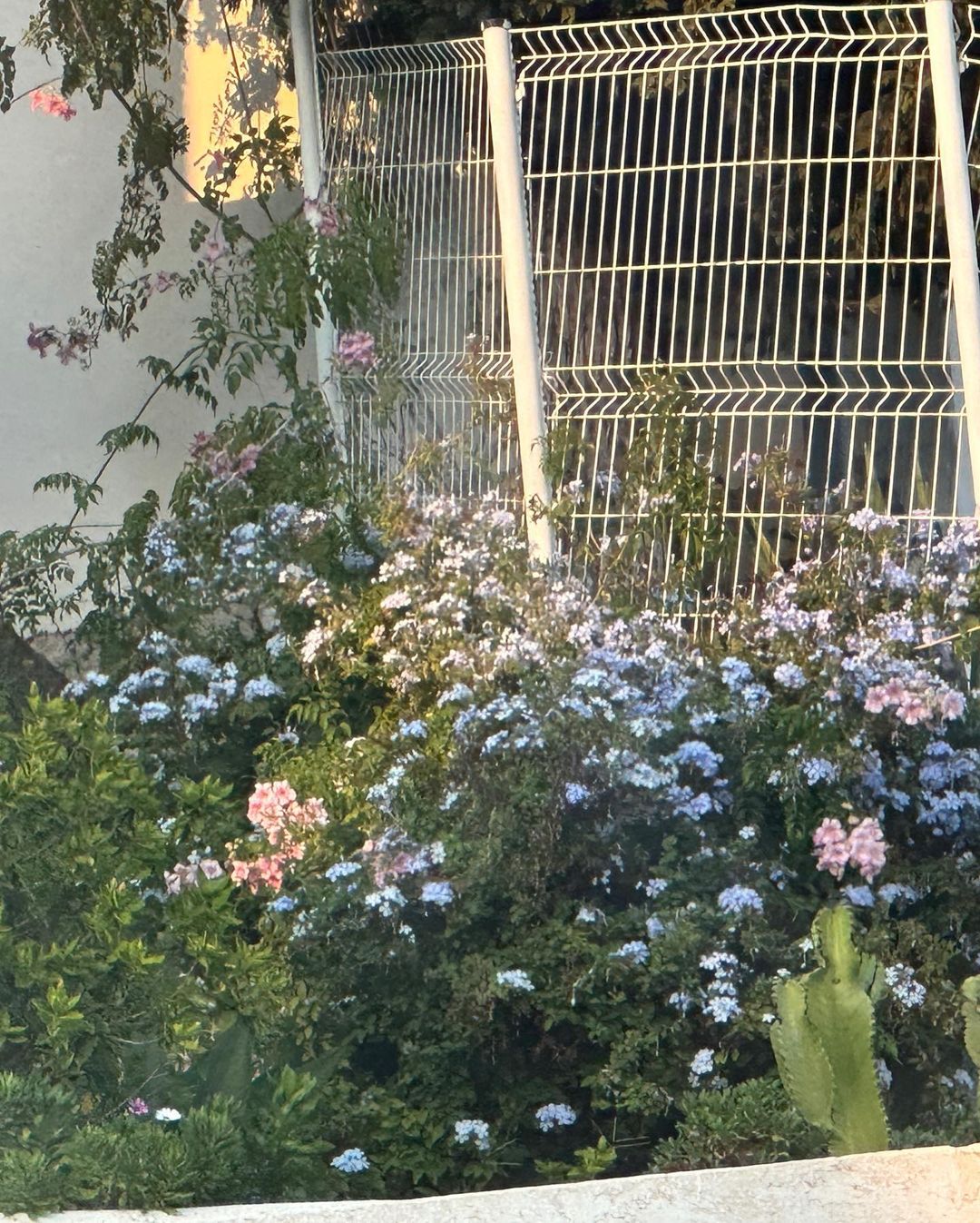 Erwan Frotin | The Agents Club