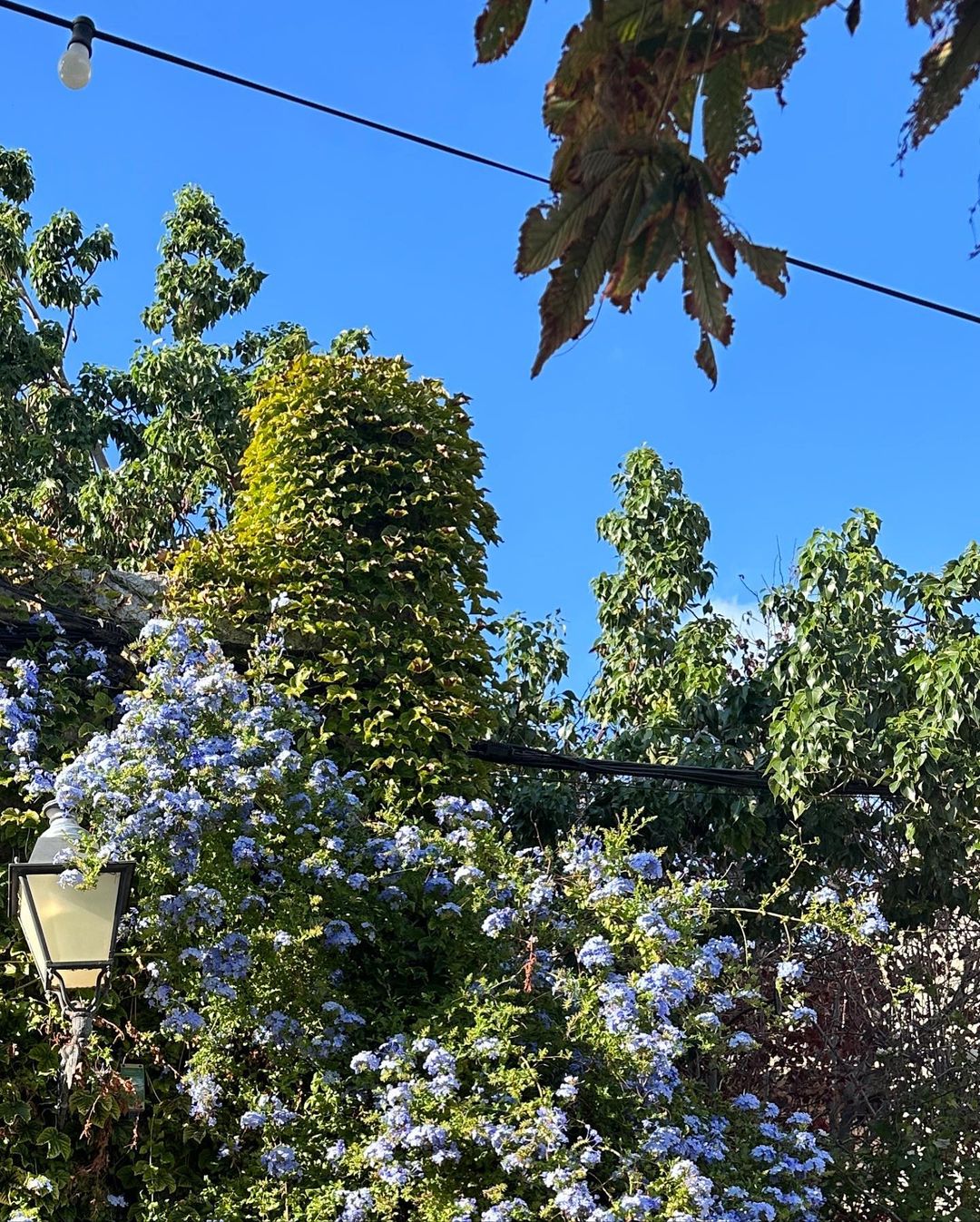 Erwan Frotin | The Agents Club