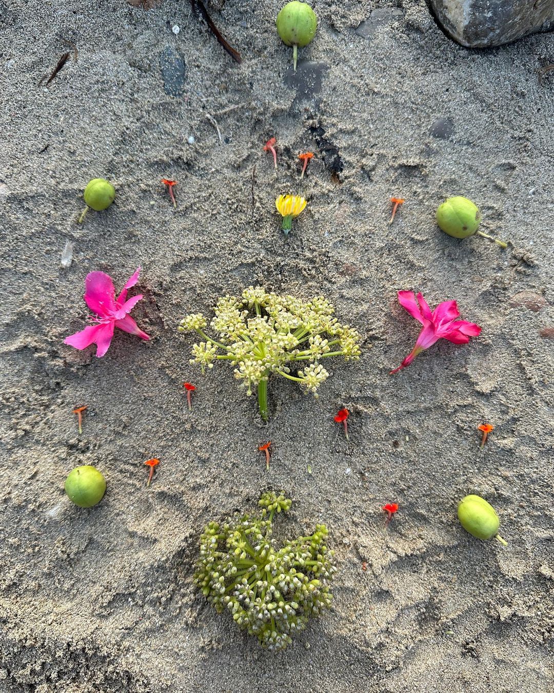 Erwan Frotin | The Agents Club