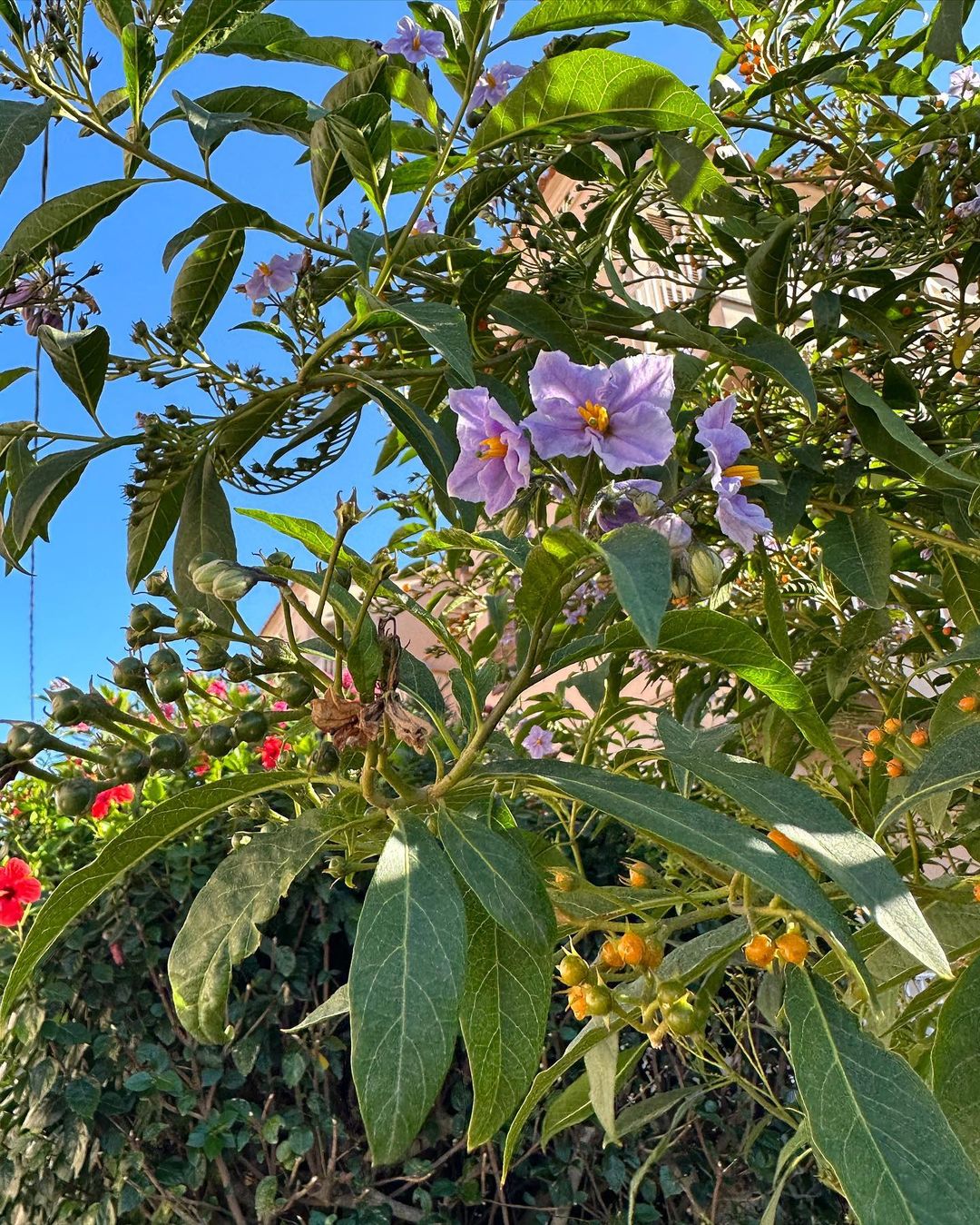 Erwan Frotin | The Agents Club