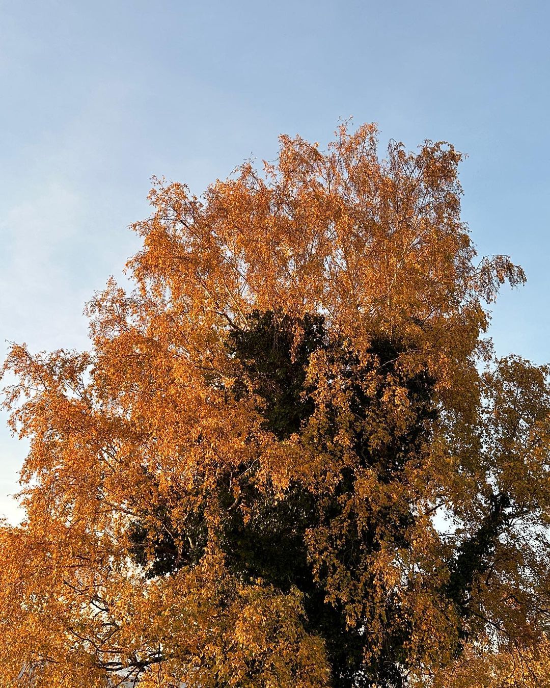 Erwan Frotin | The Agents Club