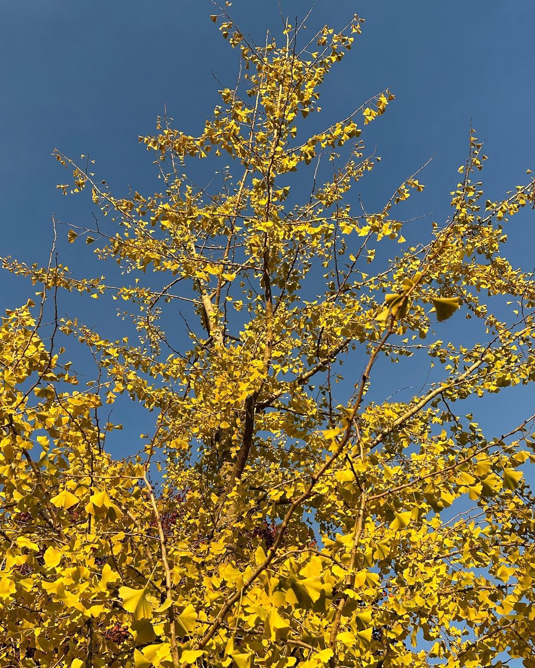 Erwan Frotin | The Agents Club