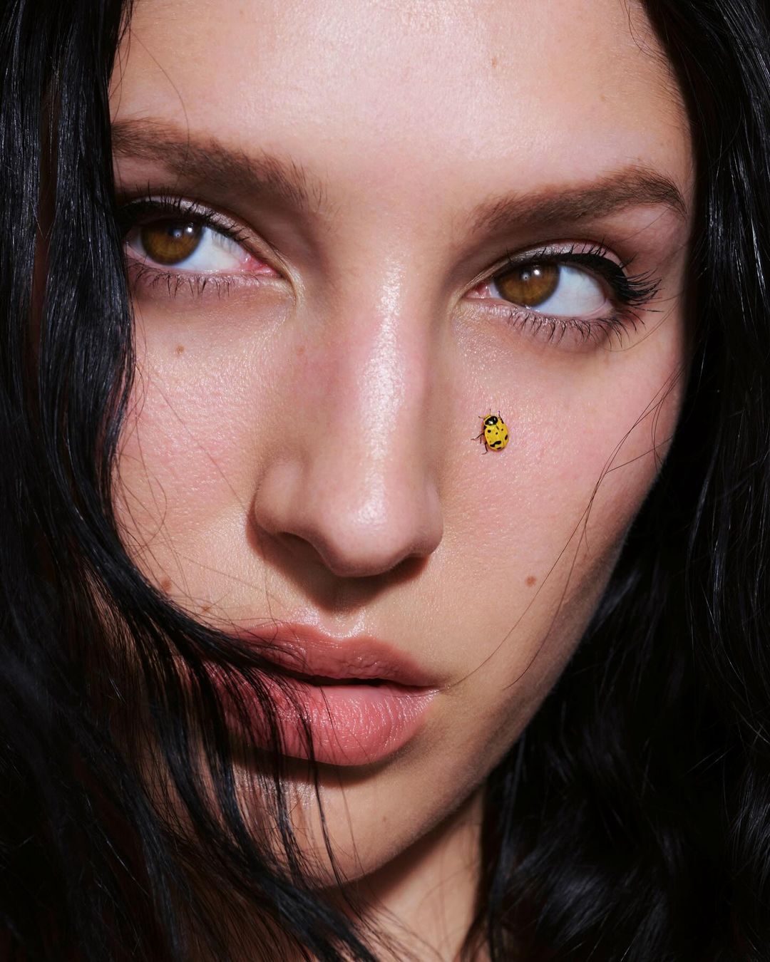 Jenn Collins | The Agents Club