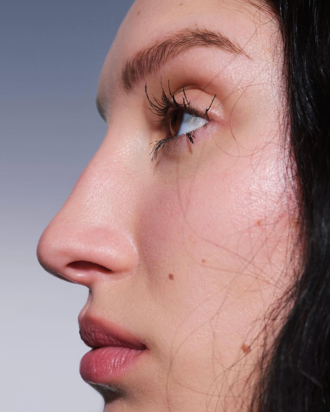 Jenn Collins | The Agents Club