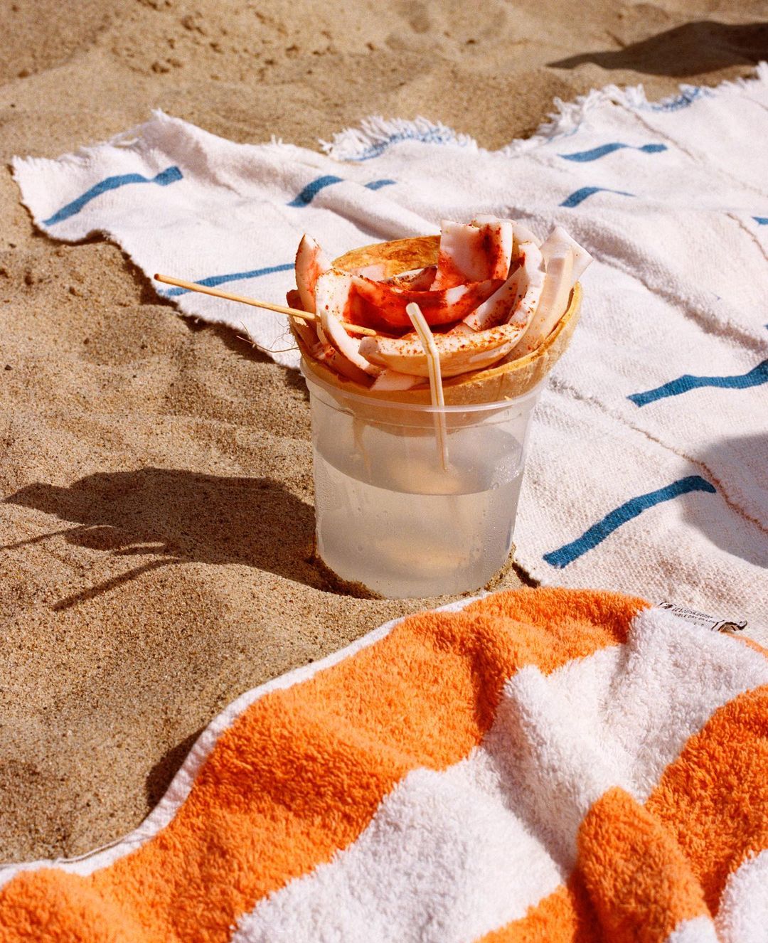 Molly Matalon | The Agents Club